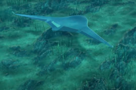 DARPA's Manta Ray Unmanned Underwater Vehicles (UUV) Go Into Stage 2 of ...