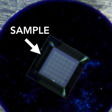Images Captured with This Gigapixel 3D Microscope Resemble Human Vision ...