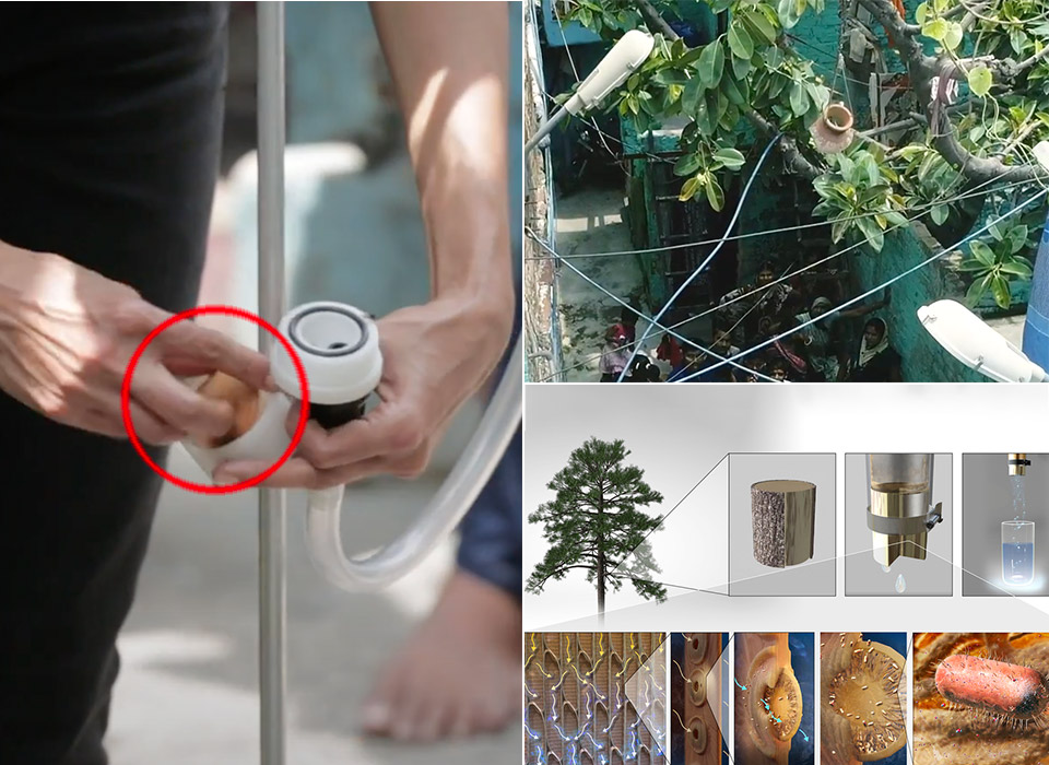 MIT Engineers Discover Method to Transform Tree Branches Into Filters ...