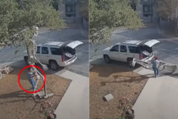 Ring Security Camera Captures Thieves Stealing a 12-Foot Skeleton from Someone's Yard - TechEBlog