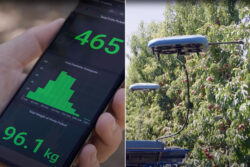 HMC Farms Partners with Tevel Aerobotics to Deploy Autonomous Fruit ...