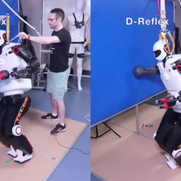 Fourier Intelligence Debuts GR-1 Humanoid Robot, Set to Take On Tesla's ...