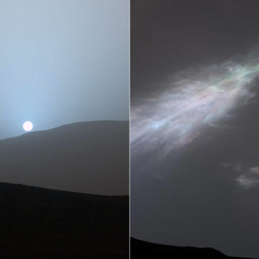NASA's Perseverance Rover Spots Shark Fin and Crab Claw-Like Rocks on ...
